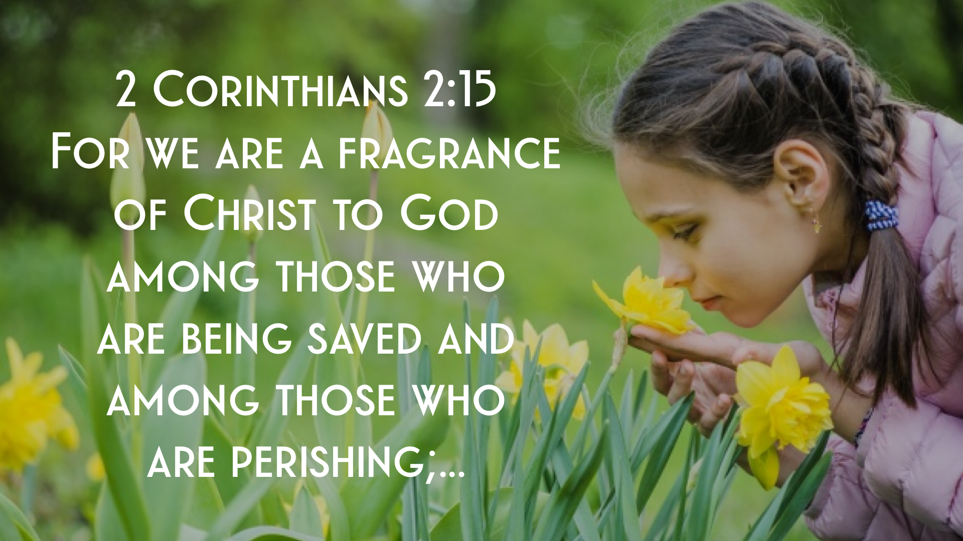 The Fragrance of Christ – PASTOR DARRYL BAKER