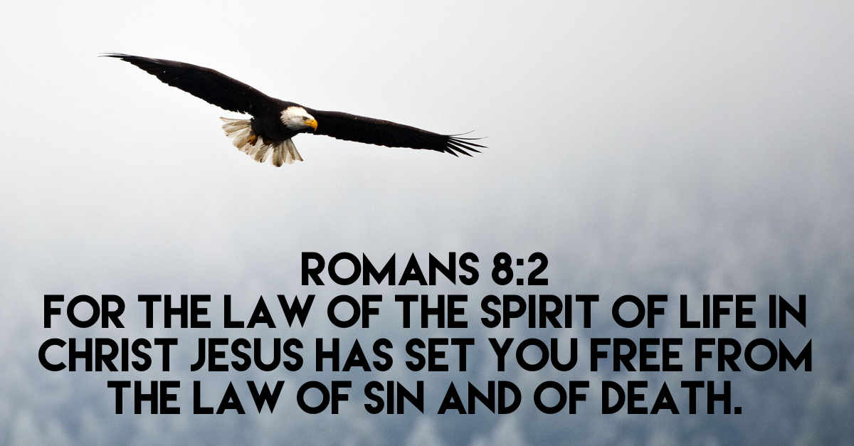 Free From Sin And Death – PASTOR DARRYL BAKER