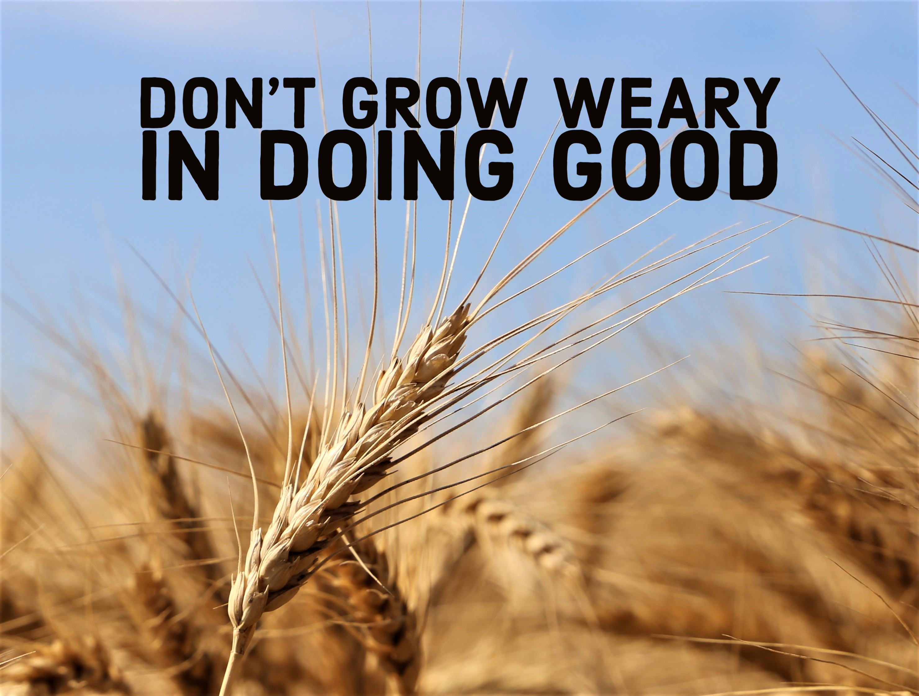 Don’t Grow Weary In Doing Good – PASTOR DARRYL BAKER