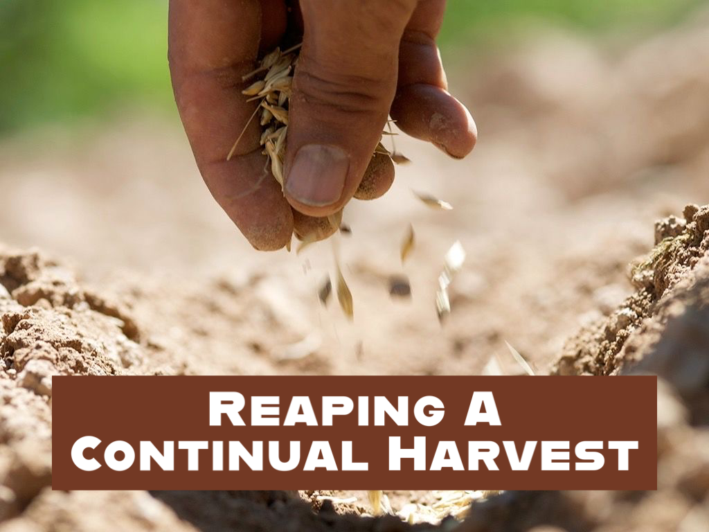 Reaping A Continual Harvest – PASTOR DARRYL BAKER