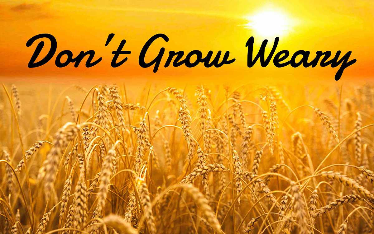 Don’t Grow Weary – PASTOR DARRYL BAKER